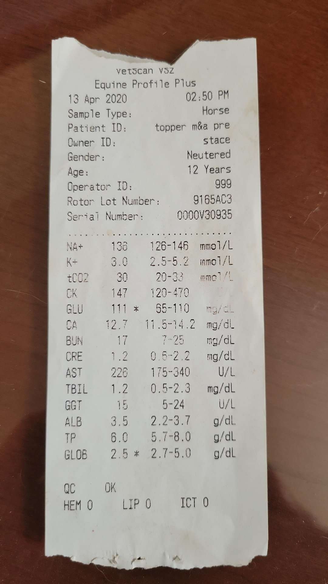 Pacific Northwest Endurance Rides. Blood Machine